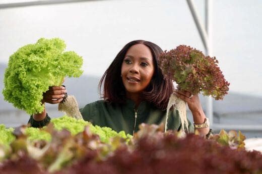 Gauteng government buys newspaper space to praise MEC | GroundUp