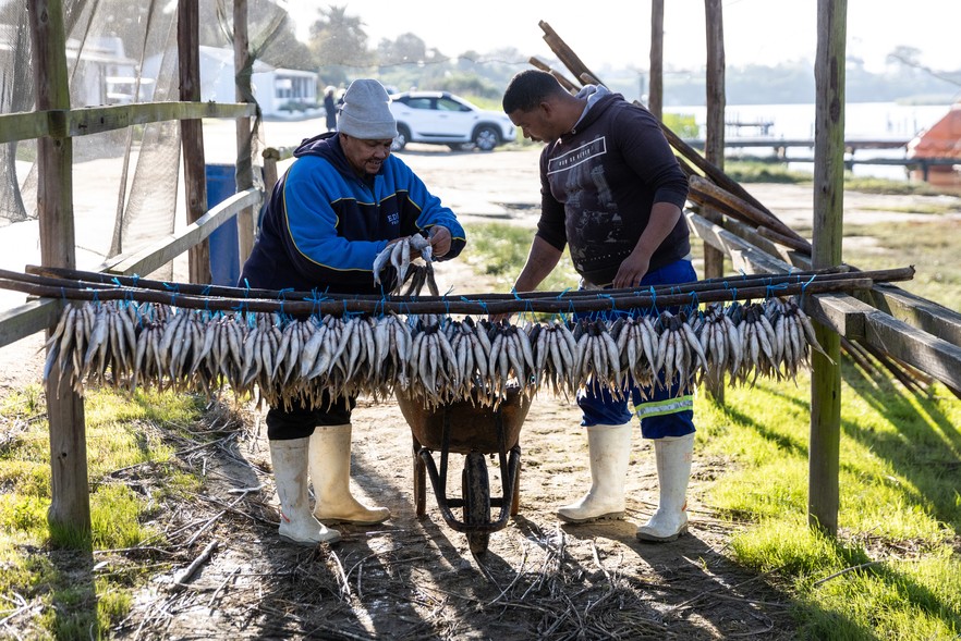 Small West Coast town is the world capital of this delicacy | GroundUp