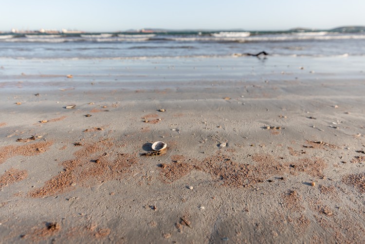 Rooigevaar in Saldanha: residents say red dust from Transnet’s ore ...