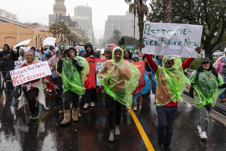 Farm workers march in rain and wind to call for ban on pesticides ...