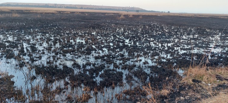 Man burns to death as police swoop on informal miners | GroundUp