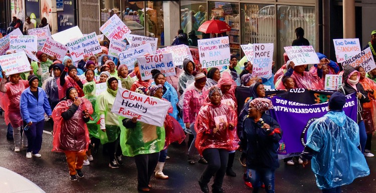 Stun grenades thrown at farm women outside Parliament | GroundUp