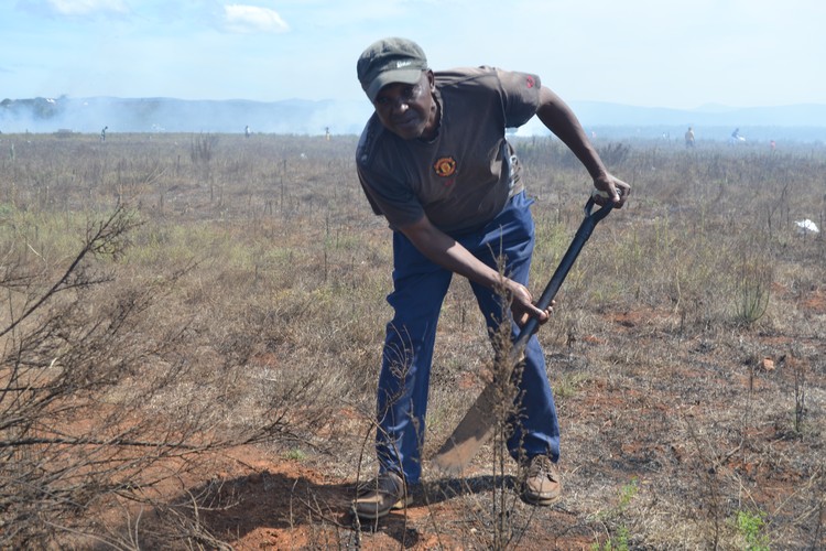 Hundreds of people stake out plots for houses on empty land in Nelson ...