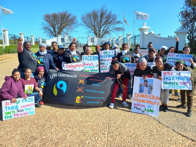 Fairtrade suspends local producer over farm workers’ poor conditions ...