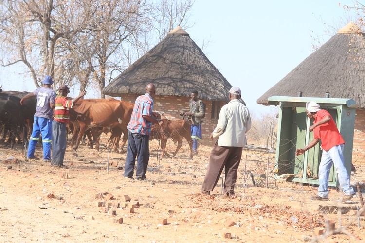 Act 9 rural areas - Knowledge base land