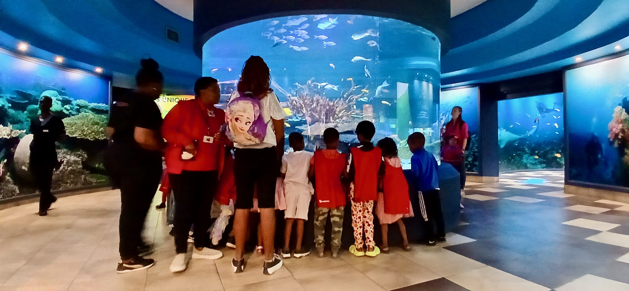 The Two Oceans Aquarium Foundation is bringing the sea to the classroom ...