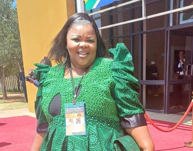 Free State mayor’s mystery 7,000 km journey | GroundUp