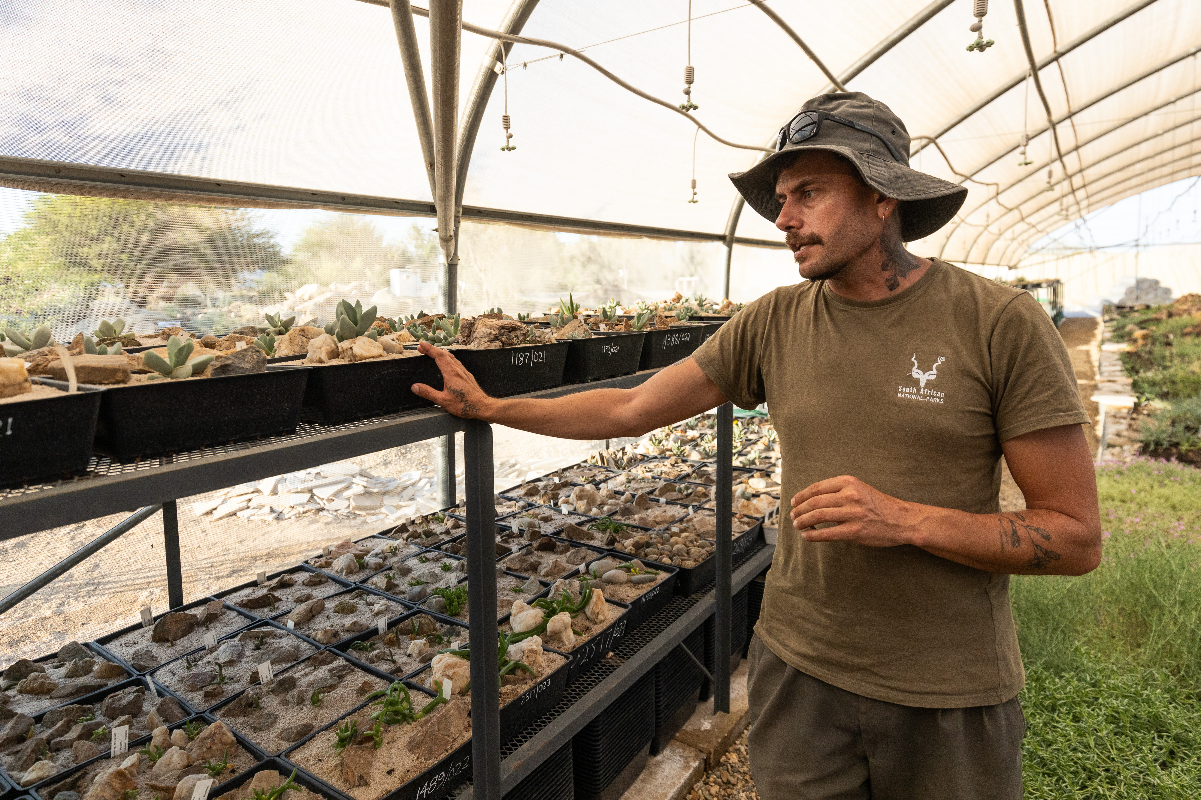 How a desert garden is saving the Northern Cape’s endangered plants ...