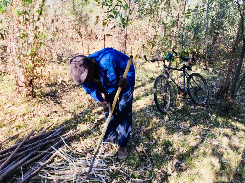 Peter Chihoro cycles up to 80km a day fetching wood to make brooms ...