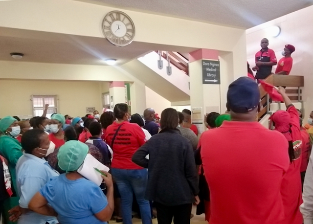 Workers at Dora Nginza Hospital downed tools over bonuses | GroundUp