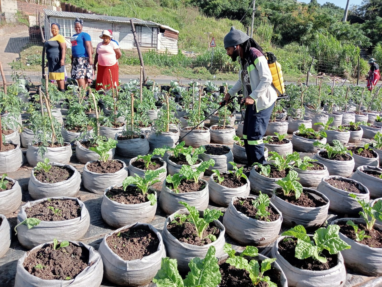 Agricultural hubs create work and hope for hundreds | GroundUp