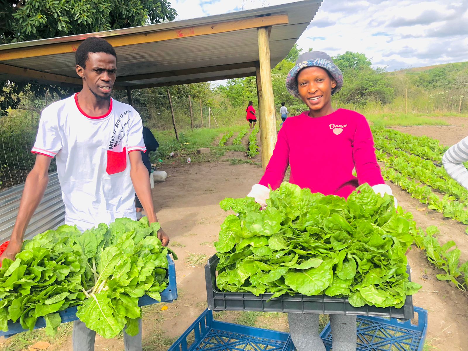 Agricultural hubs create work and hope for hundreds | GroundUp