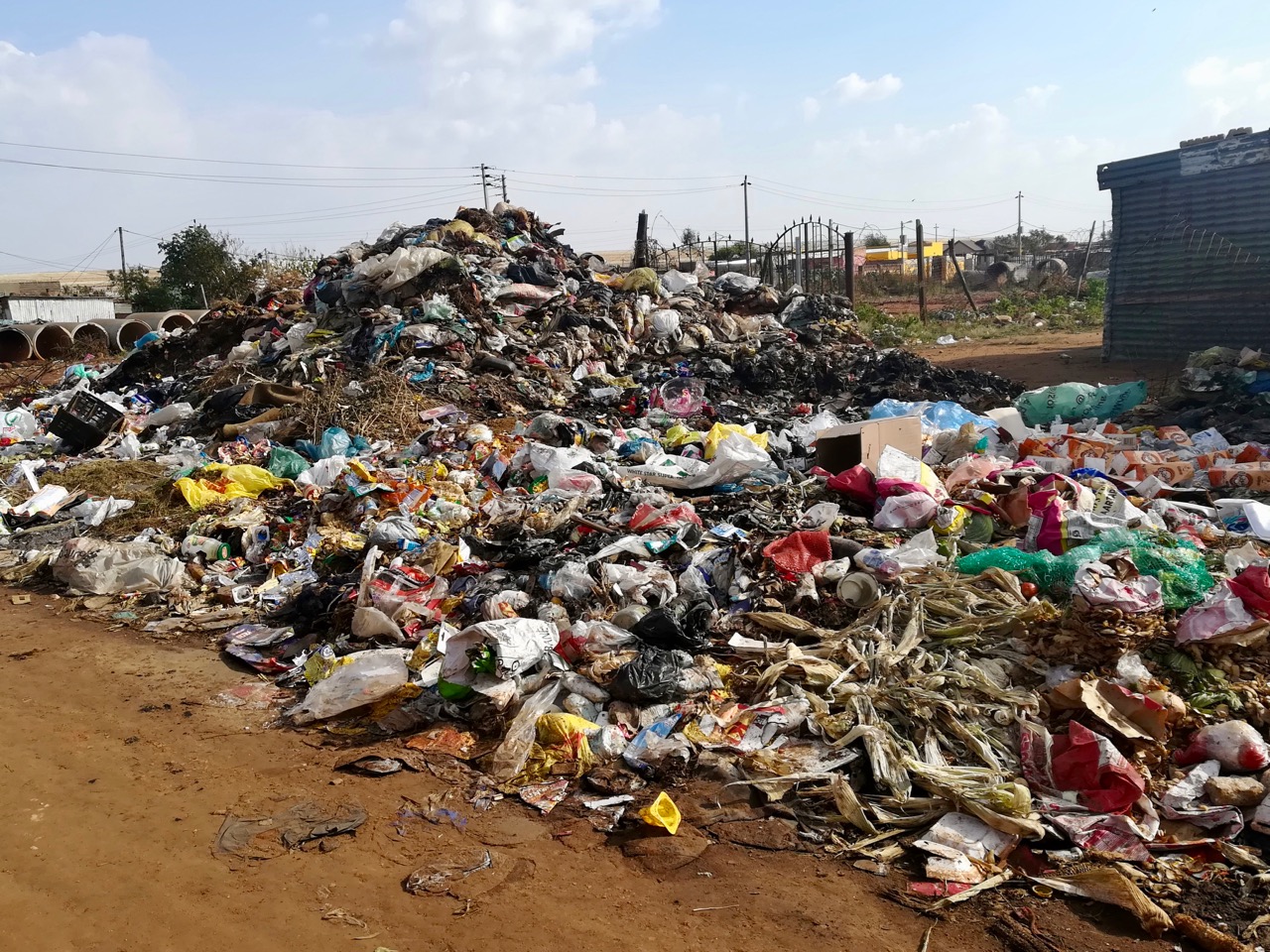 We are living in a pigsty, says ward councillor | GroundUp