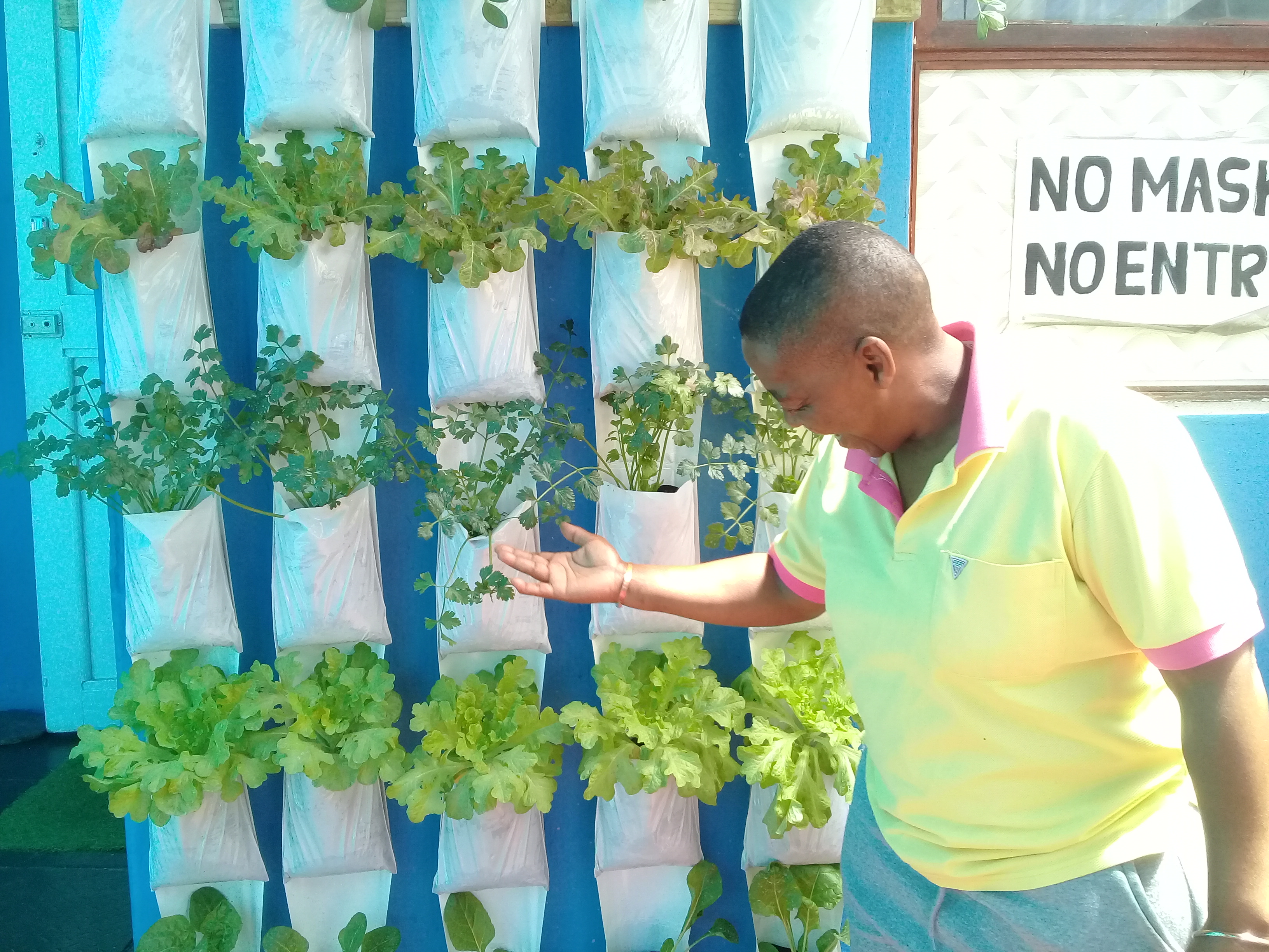 Tafelsig feeding scheme battles red tape | GroundUp