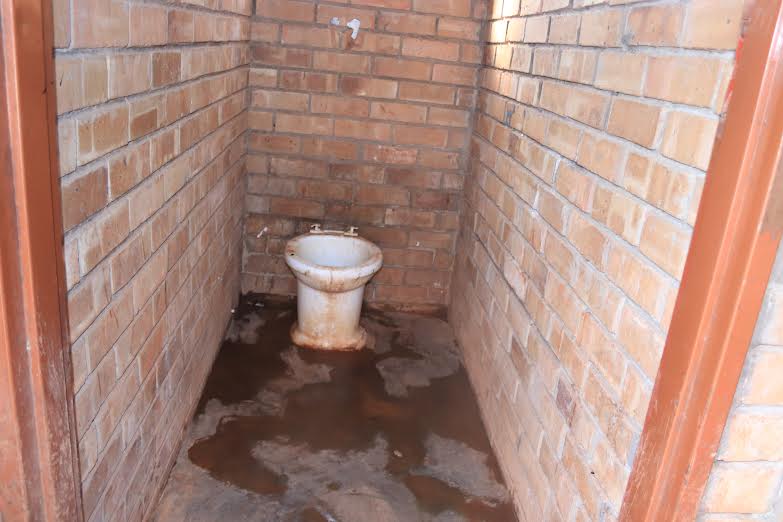 Learners being taught under trees as Limpopo school waits for ...